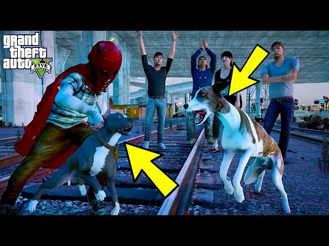 YAVRU PİTBULL SAHİBİNİN ZORUYLA EĞİTİMLİ DOBERMAN'LA DÖVÜŞÜYOR! - GTA 5