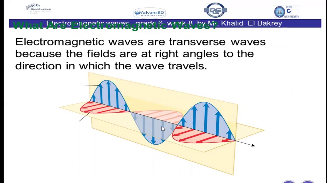 grade 6, Science, Chapter 3, Lesson 1 - YouTube