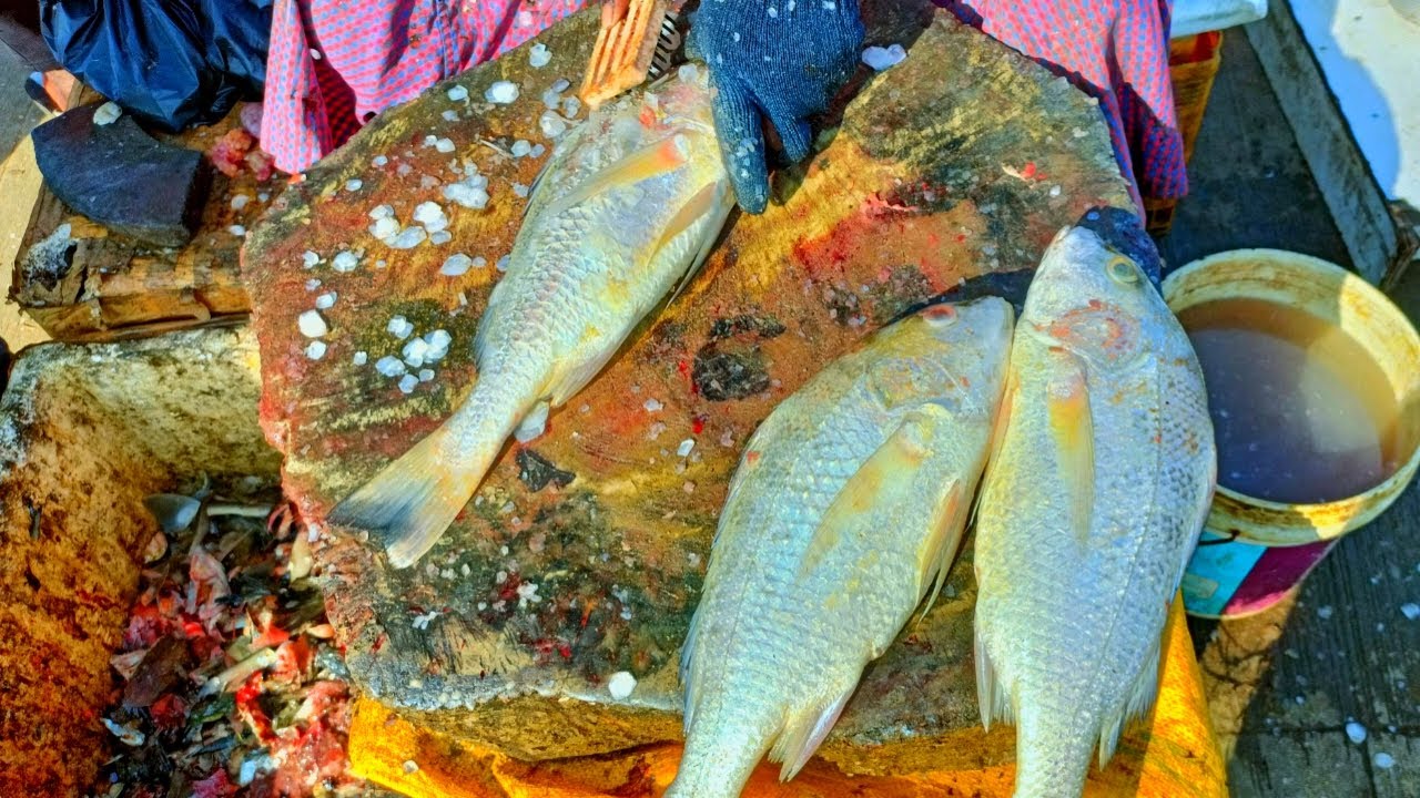 Koduva Fish Cutting Skill | Three Fish Cutting | CT 360*🔪 # ...