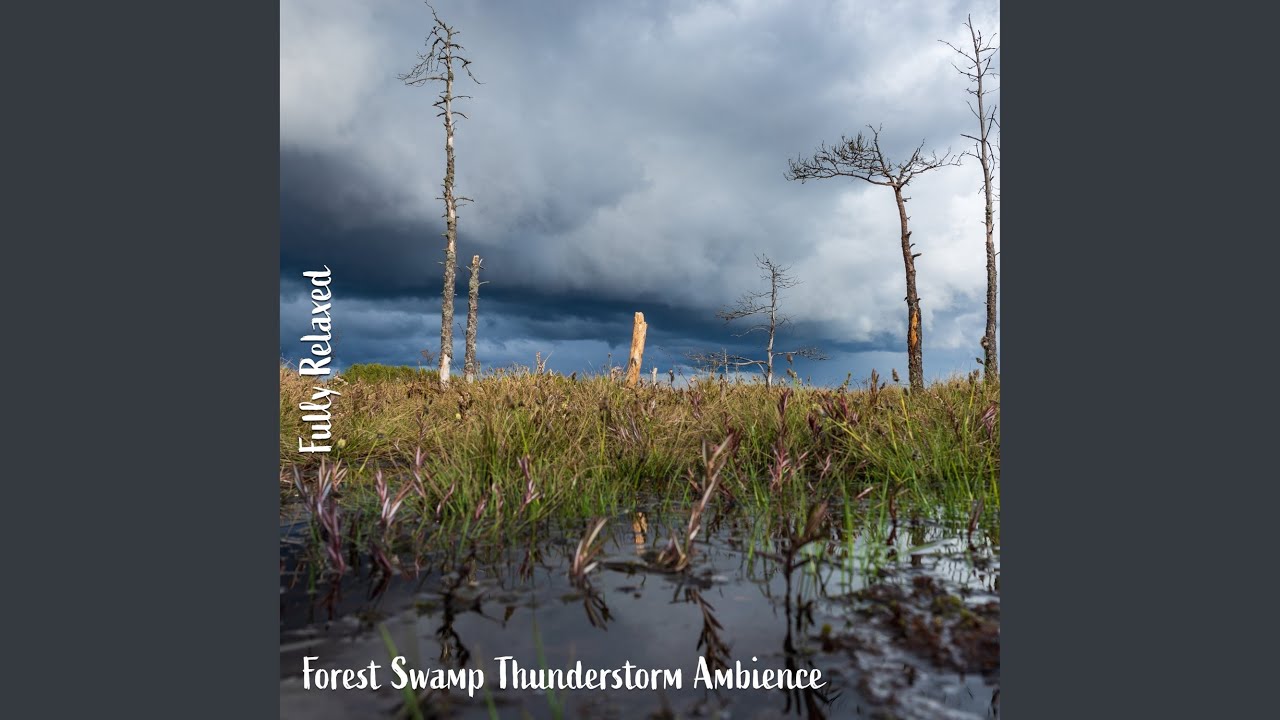 Forest Swamp Thunderstorm Ambience, Pt. 1 - YouTube