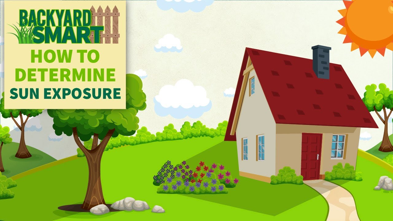 How to Determine Sun Exposure | Backyard Smart: Test It Out | Exmark ...
