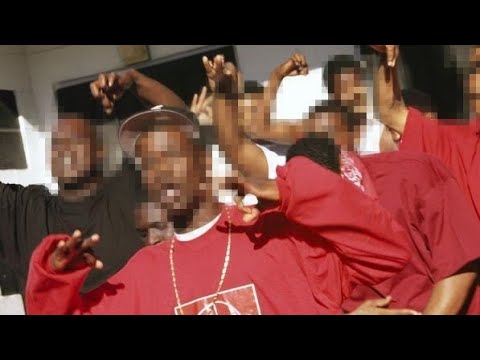 Bounty Hunter Watts Bloods | Gang Profile - YouTube