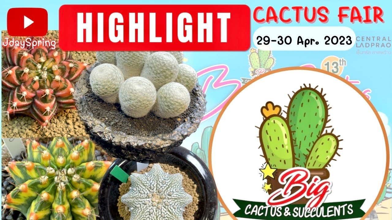 | Garden | Highlight Cactus Fair :Big Cactus & Succulent Fair 13th ...