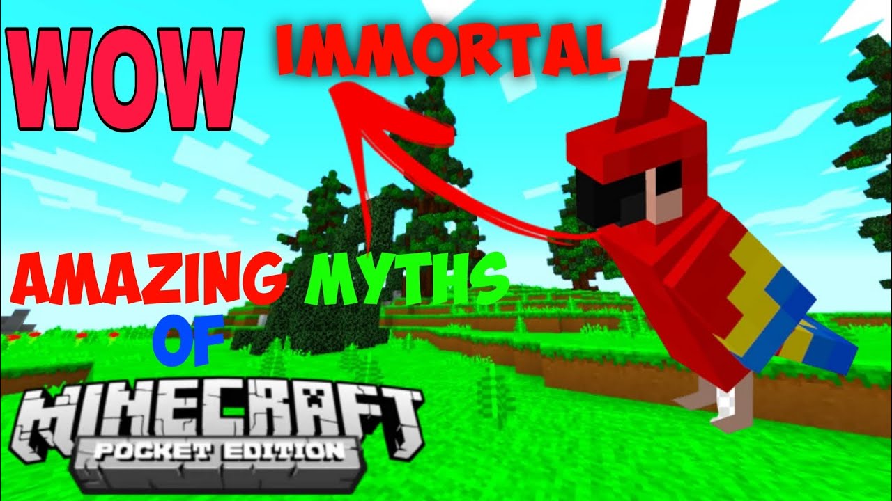 Top 5 amazing myths of Minecraft pocket edition. | @MX-YT95 - YouTube
