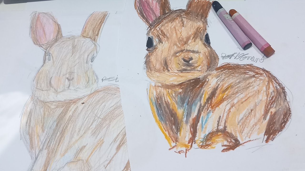 Oil pastels drawing of a rabbit 🐰 - YouTube