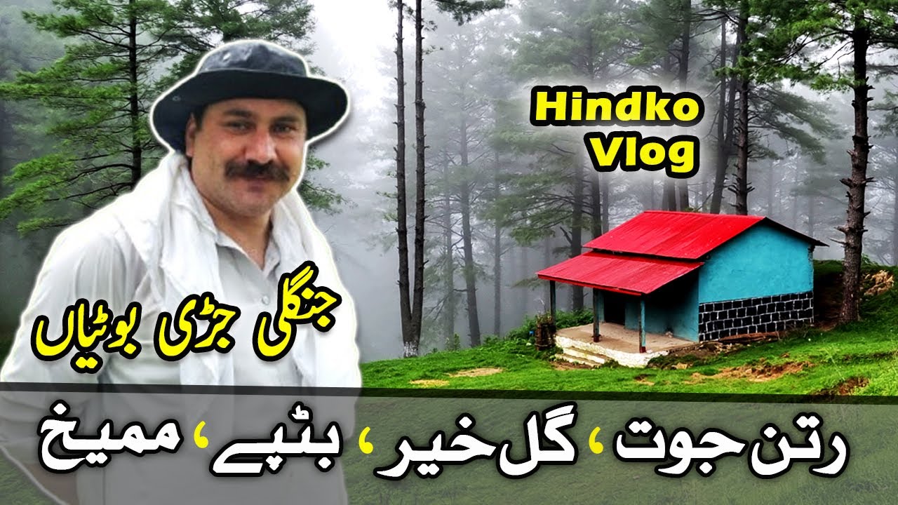 Kakul Forest Is Beautiful Than Thandiani | رات جنگل میں | JD Food ...