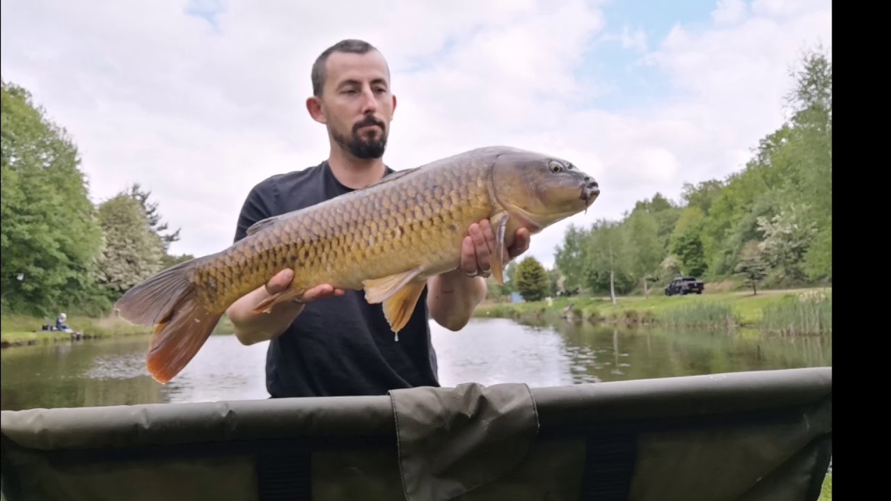 Nottingham Anglers Association Newlands Ponds - YouTube