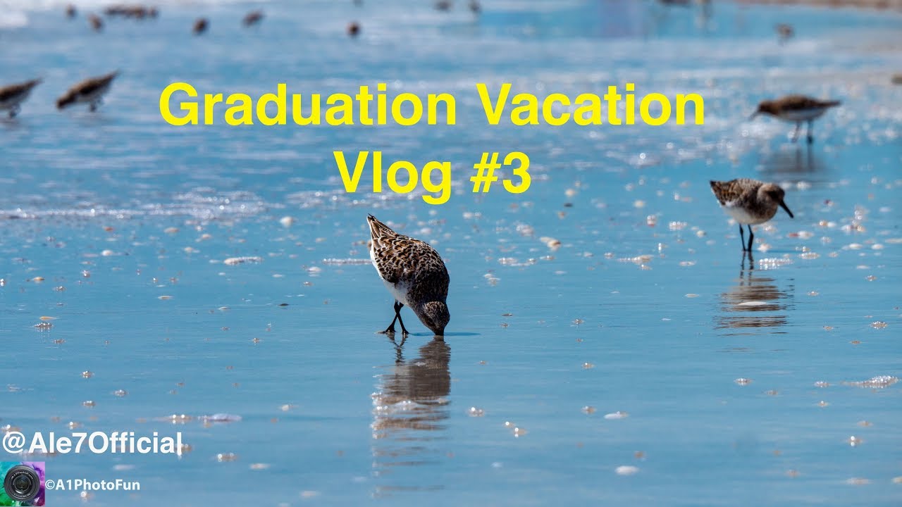 Graduation Vacation Vlog 3 - YouTube