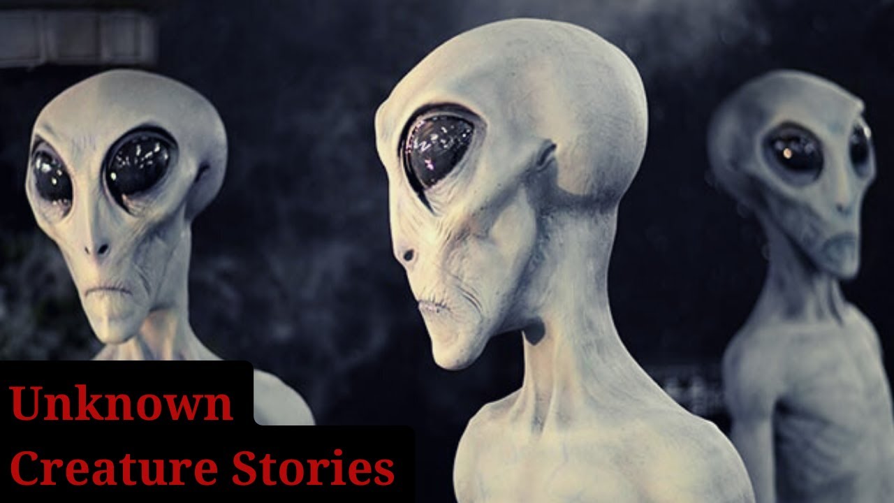 3 Scary Unknown Creature Horror Stories - YouTube