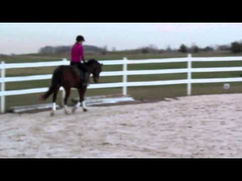 Morgan Risseeuw & Phoenix MWHF Application - YouTube