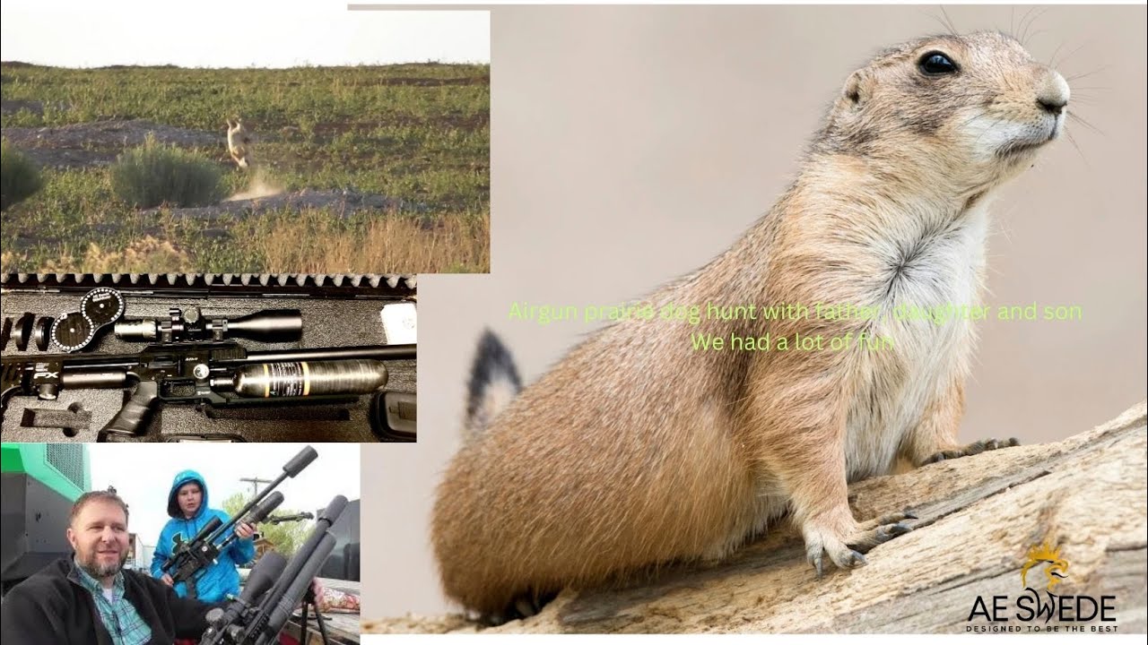 Airgun southern Utah prairie dog hunt with father, daughter, and son ...