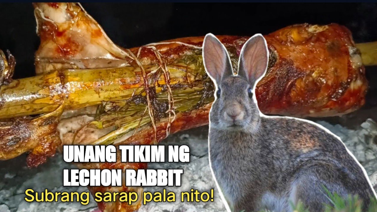 Lechon Rabbit and native chicken - nakatikim naba kayo nito? Taob ...