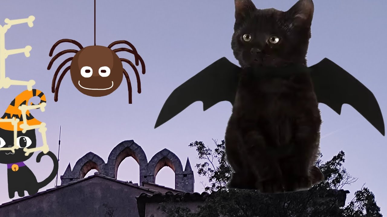 Halloween incoming 🎃 scare on U 😱🎃 #halloween #fear - YouTube