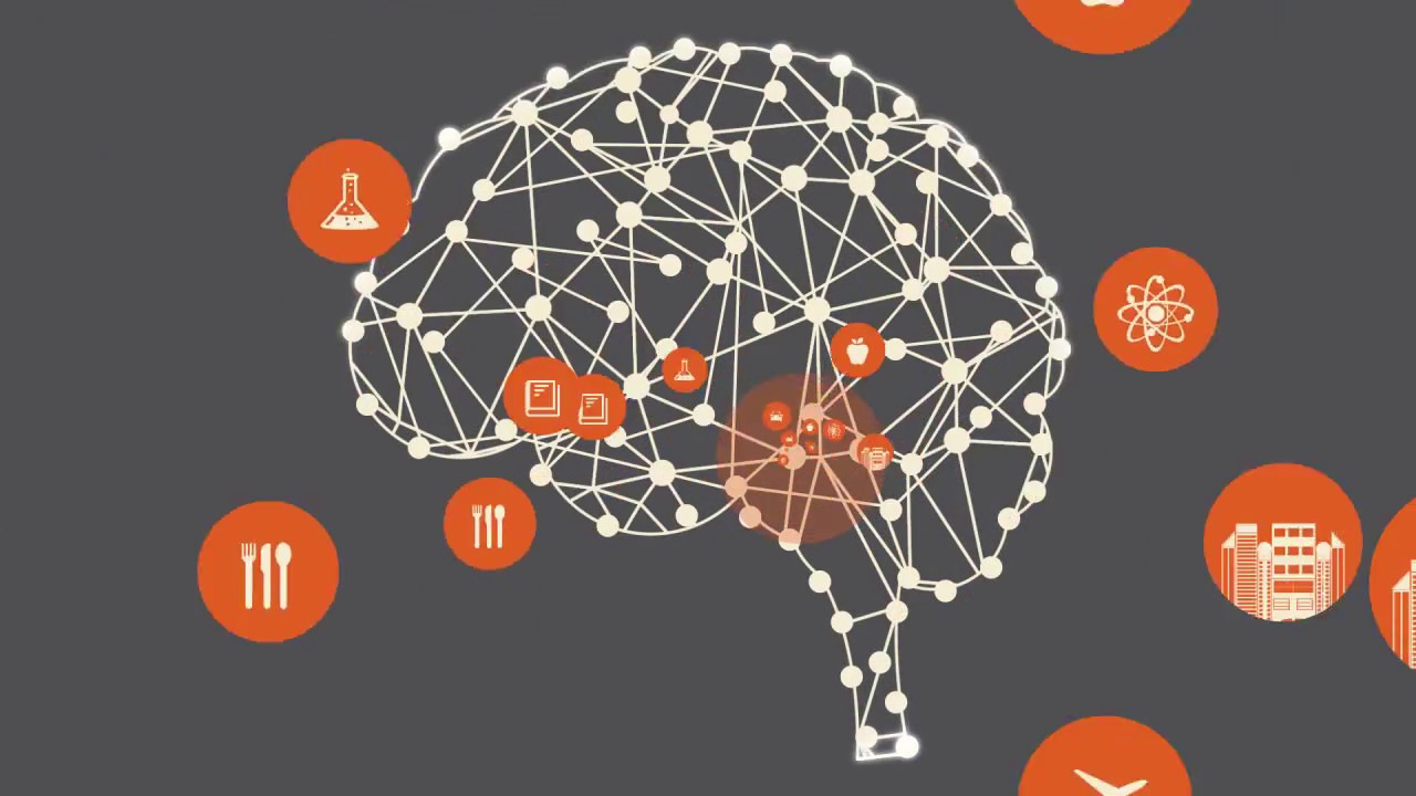 Promoting Brain Gains for Youth Emerging From Foster Care - YouTube