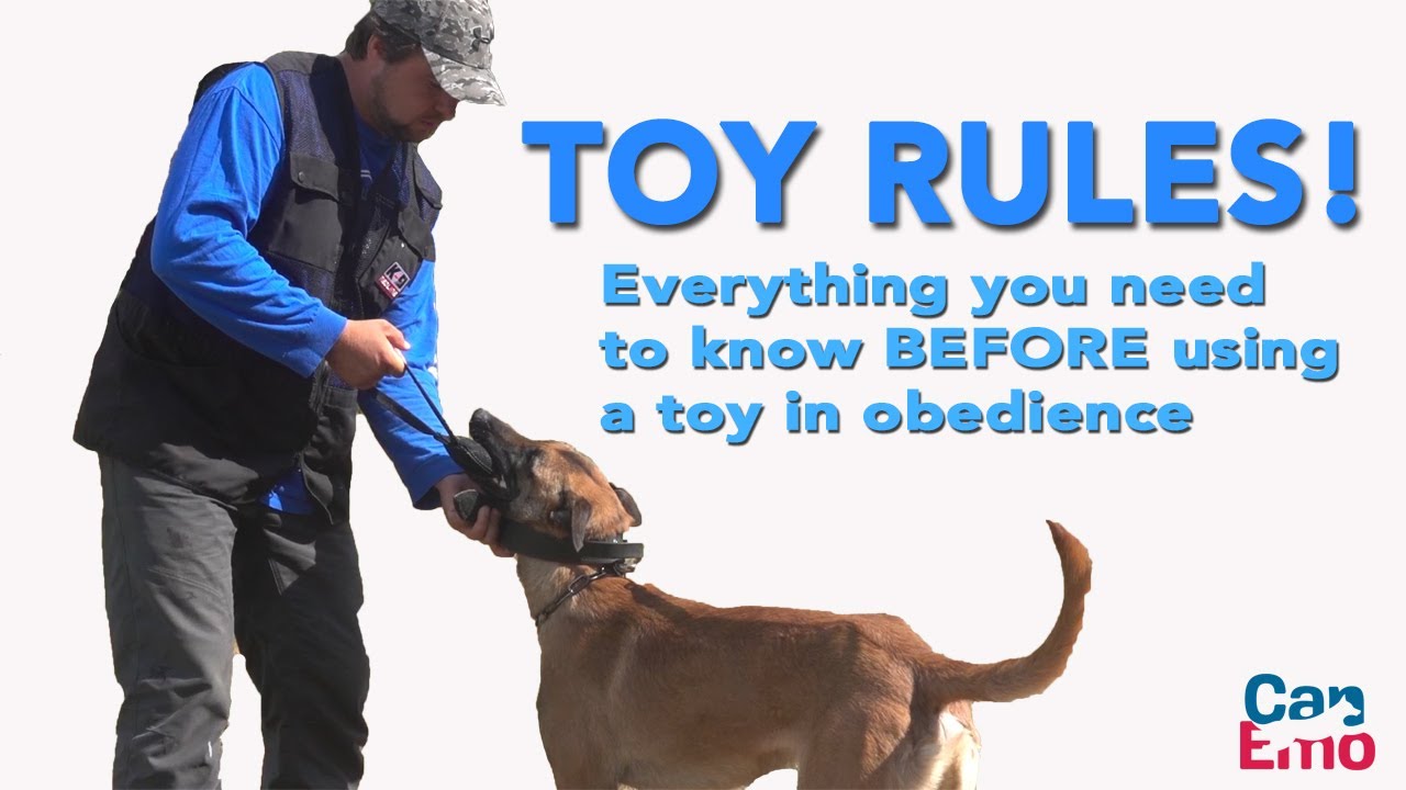 Toy Rules for Obedience by MARKO KOSKENSALO - YouTube
