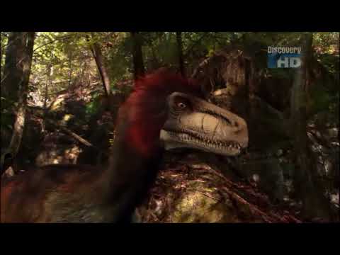 When Dinosaurs Roamed America - Zunityrannus (Suskityrannus hazalae)