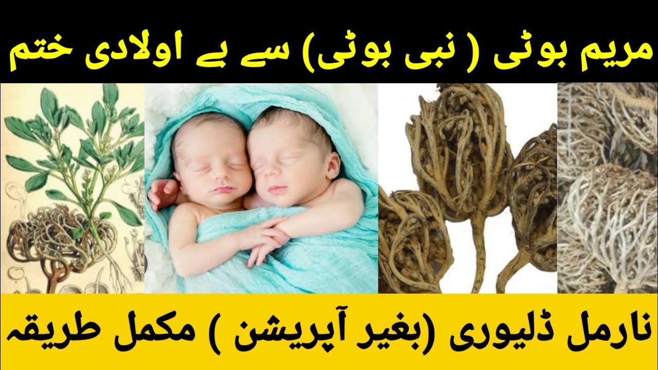 maryam booti/ nabi booti/ bai auladi ka ilaj @nigaracademy669 - YouTube