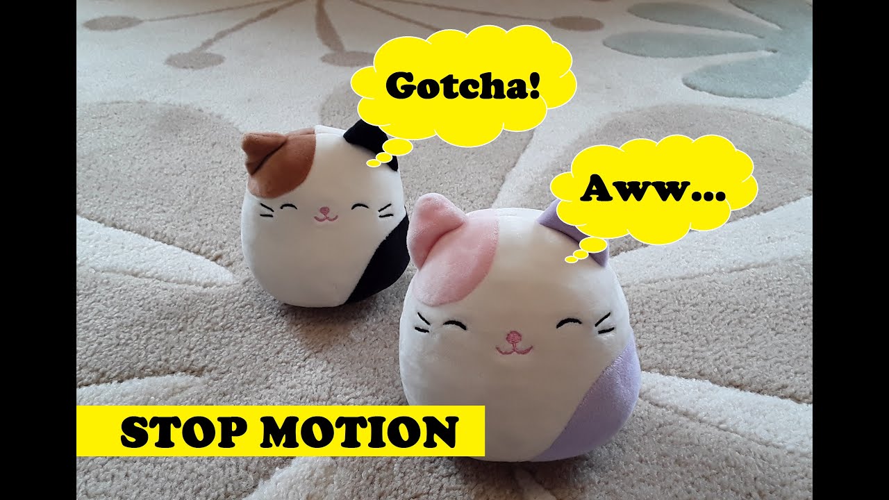 We LOVE Squishmallows | Kitty Stop Motion Animation - Tag! - YouTube