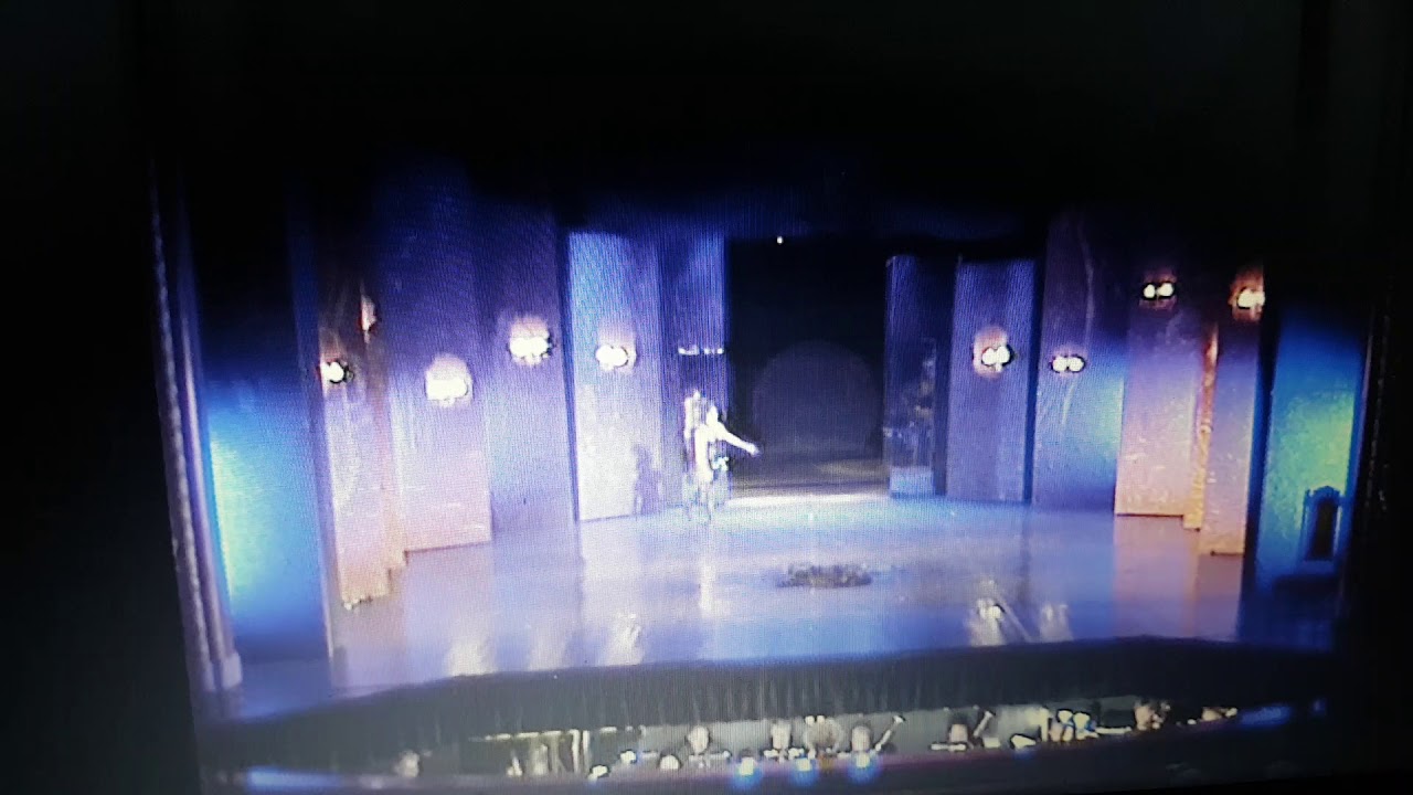 Swan lake Rothbart - YouTube