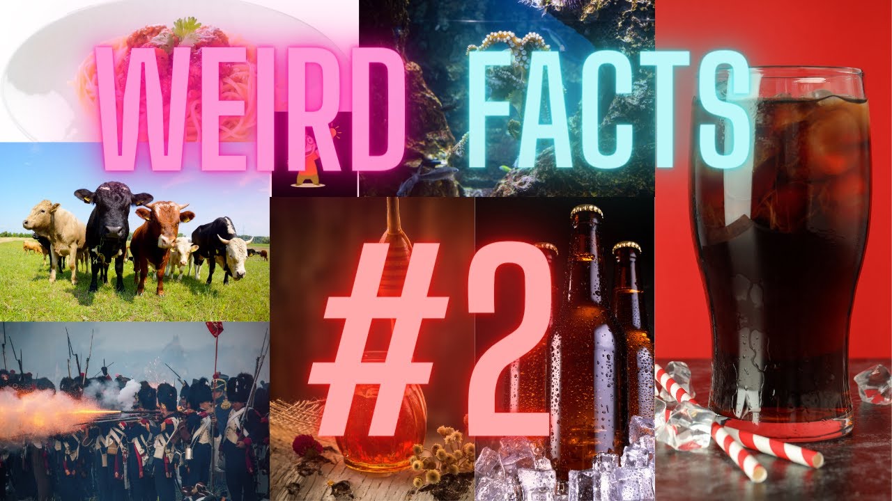 10 Bizarre Facts You Never Knew Existed #2 - YouTube