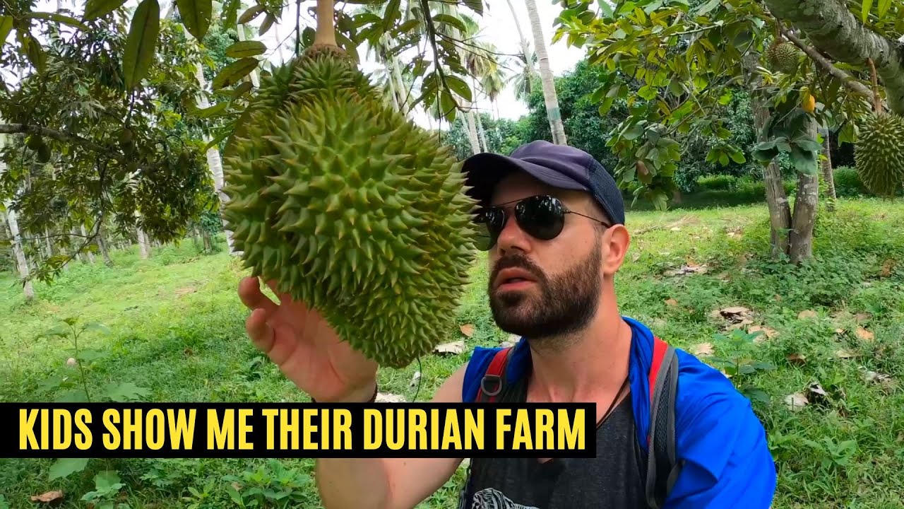 Kids Show Me Their Durian Farm in Davao, Philippines 🇵🇭 - YouTube
