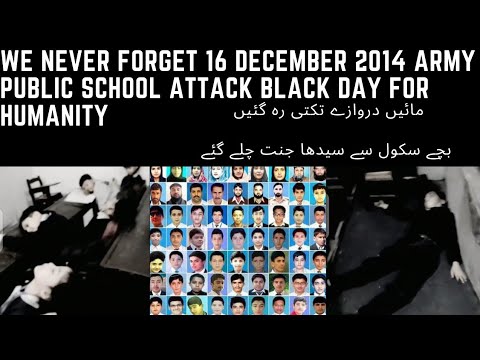 WE NEVER FORGET16 DECEMBER 2014 ARMY PUBLIC SCHOOL ATTACK BLACK DAY FOR ...