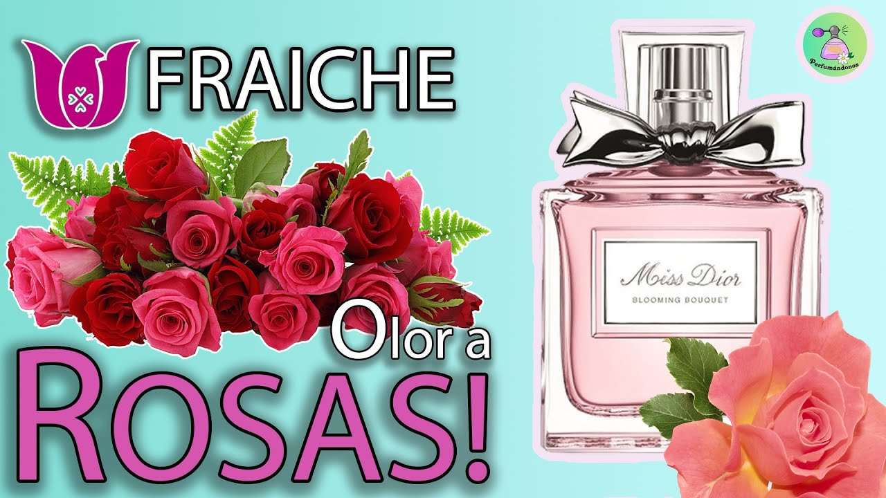 Los Mejores Perfumes FRAICHE Con Aroma a Rosas Frescas Como Recién ...