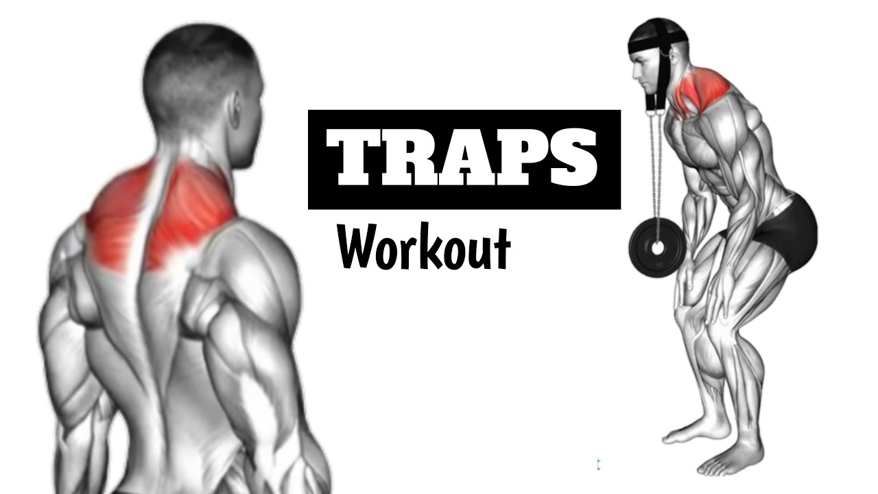 6 Best TRAPS workout for muscle || - YouTube