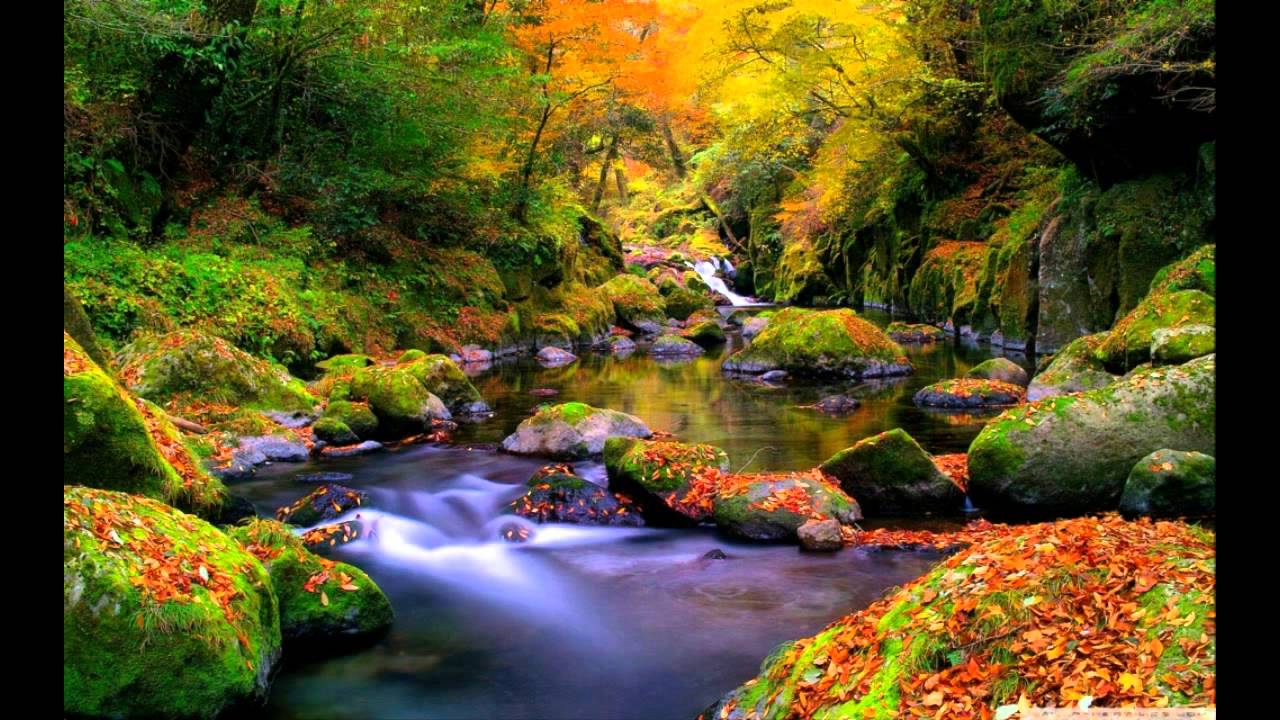 Refresh & ENERGY BOOST in 5 minutes - Guided Meditation - YouTube