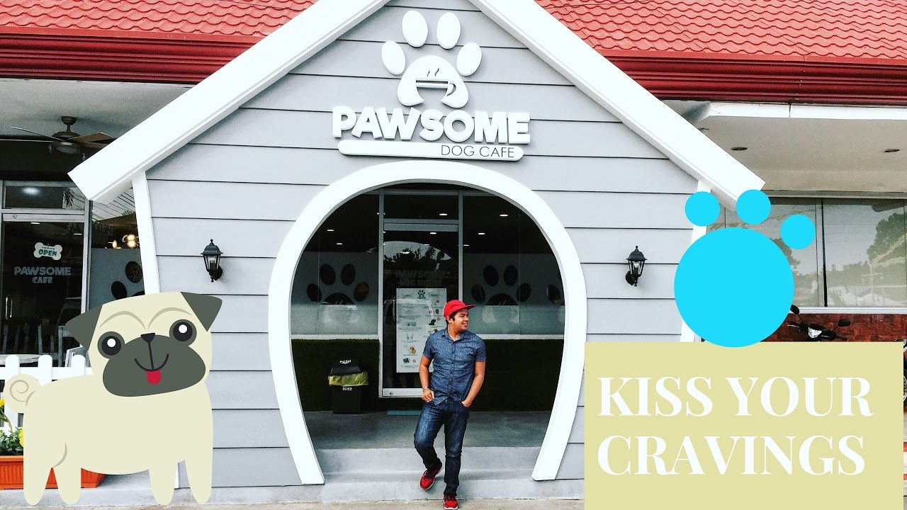 Kiss Your Cravings | Awesome afternoon at Pawsome Dog Cafe - YouTube