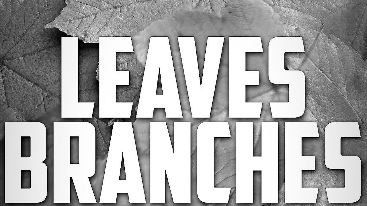 UNLEASHED PODCAST: IDENTIFYING YOUR TRIBE - 🍃 LEAF, 🌿 BRANCH, 🌳 ROOT ...