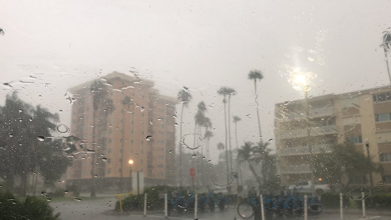 Thunderstorm Heavy Rain Windy Squall Tampa Bay St. Petersburg Florida ...