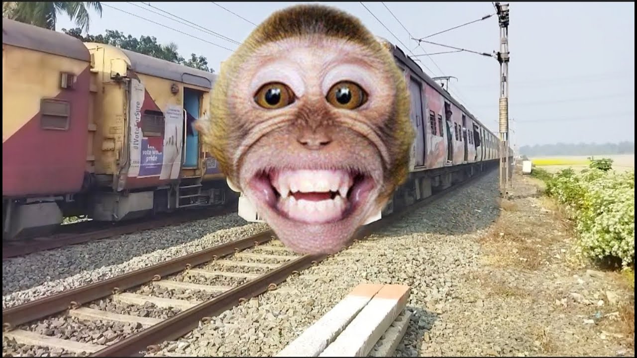 Dangerous Monkey Headed Galloping EMU Local Crossing Balurghat Express ...
