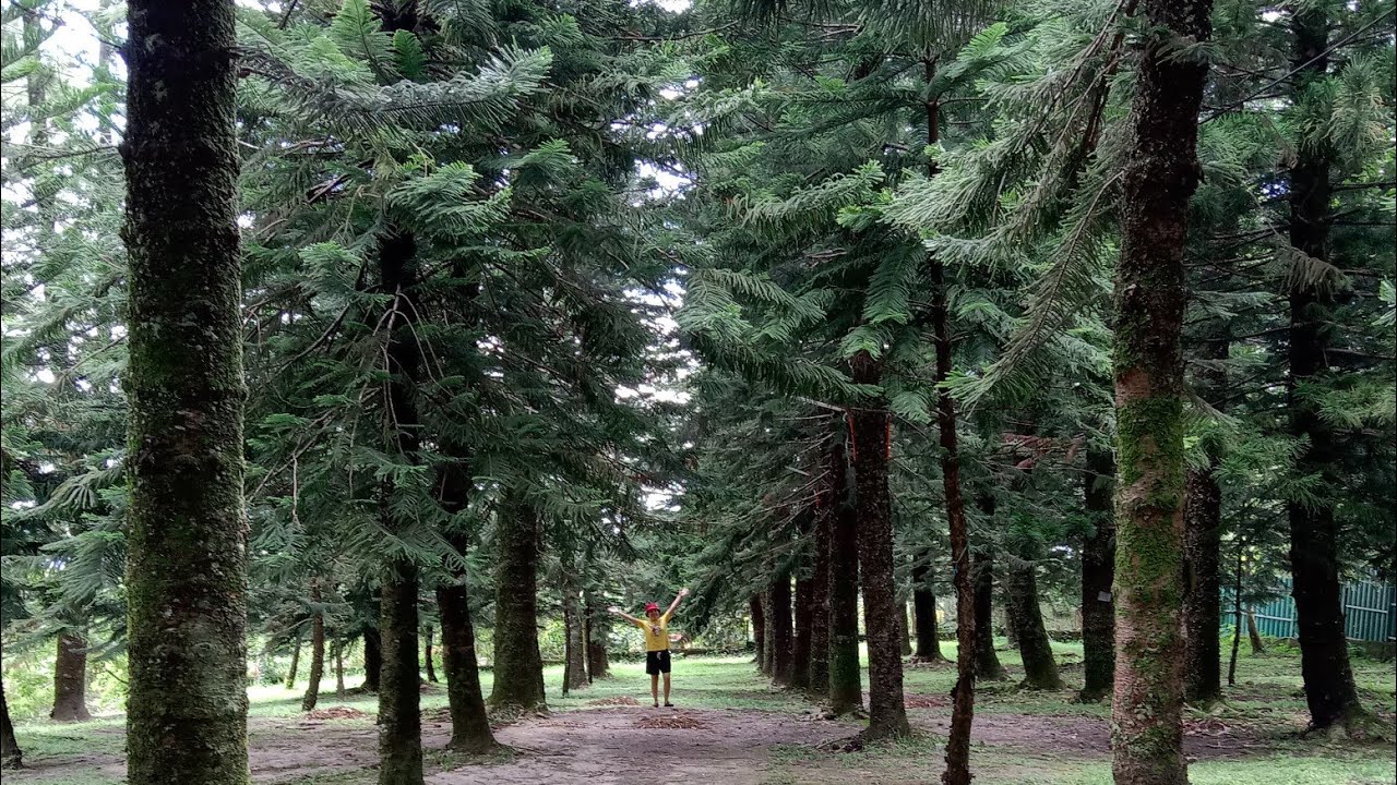 Almadria highland resort #enjoy - YouTube