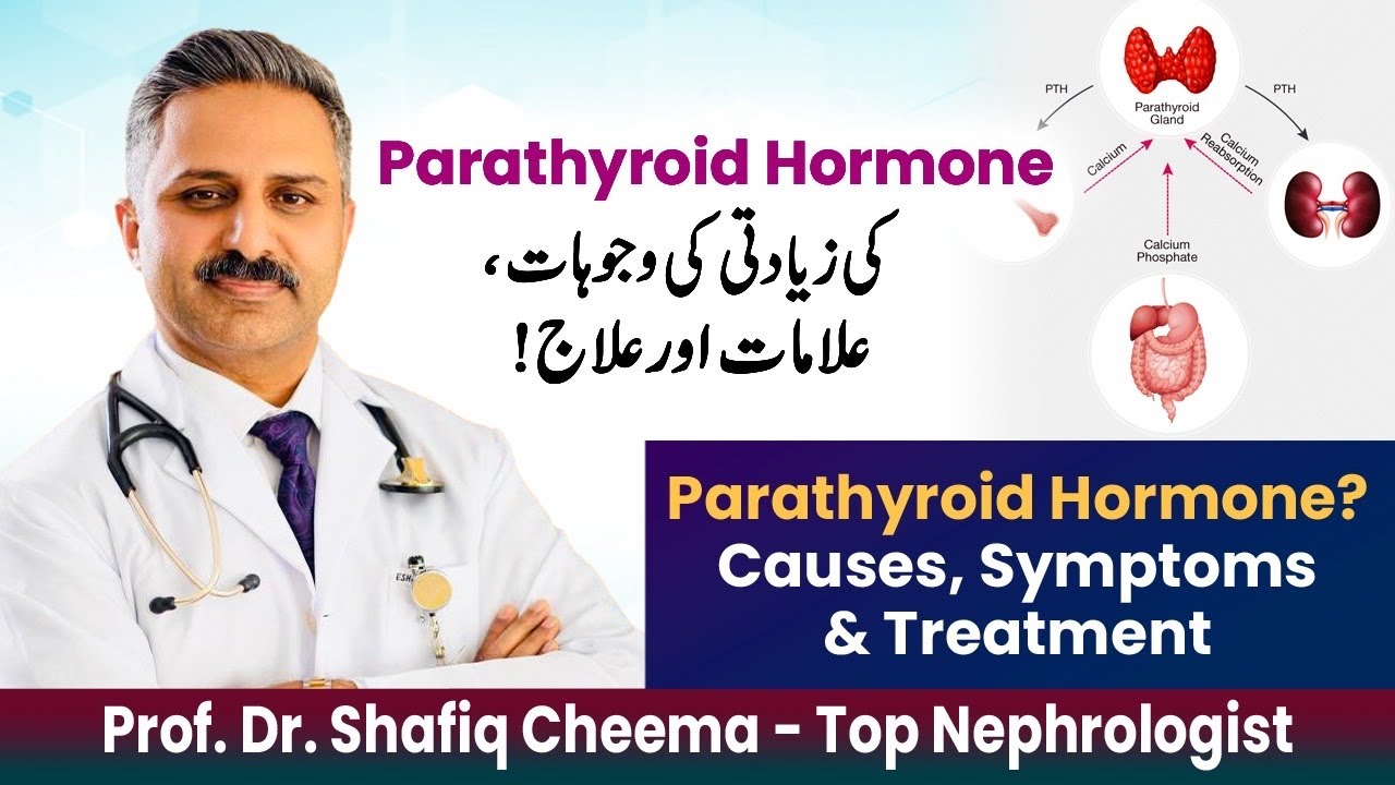 Elevated Parathyroid Hormone or Hyperparathyroidism | Causes, Symptoms ...