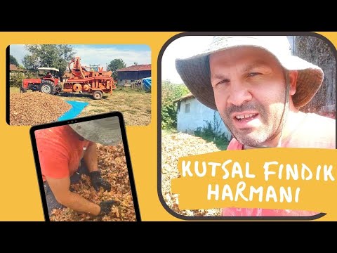 KUTSAL FINDIK HARMANI