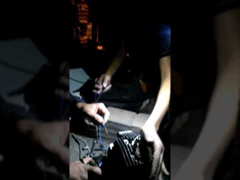 Çarpılan maymun ağızlı