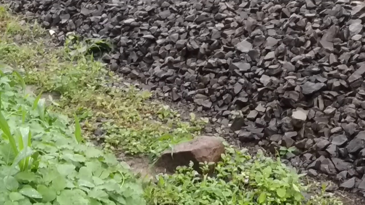 (12913) WAP 7 lHB coach Avantika Express - YouTube