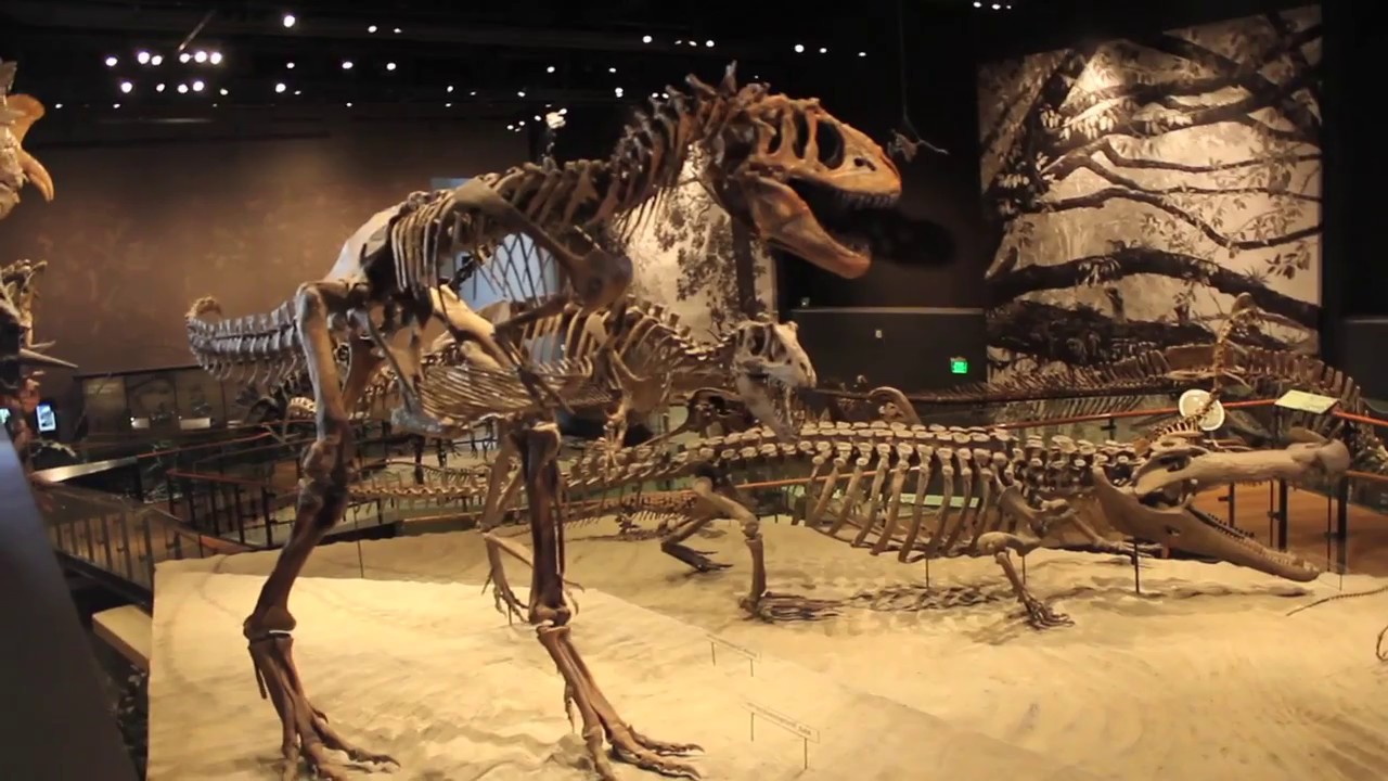 Natural History Museum Salt Lake City Utah - YouTube