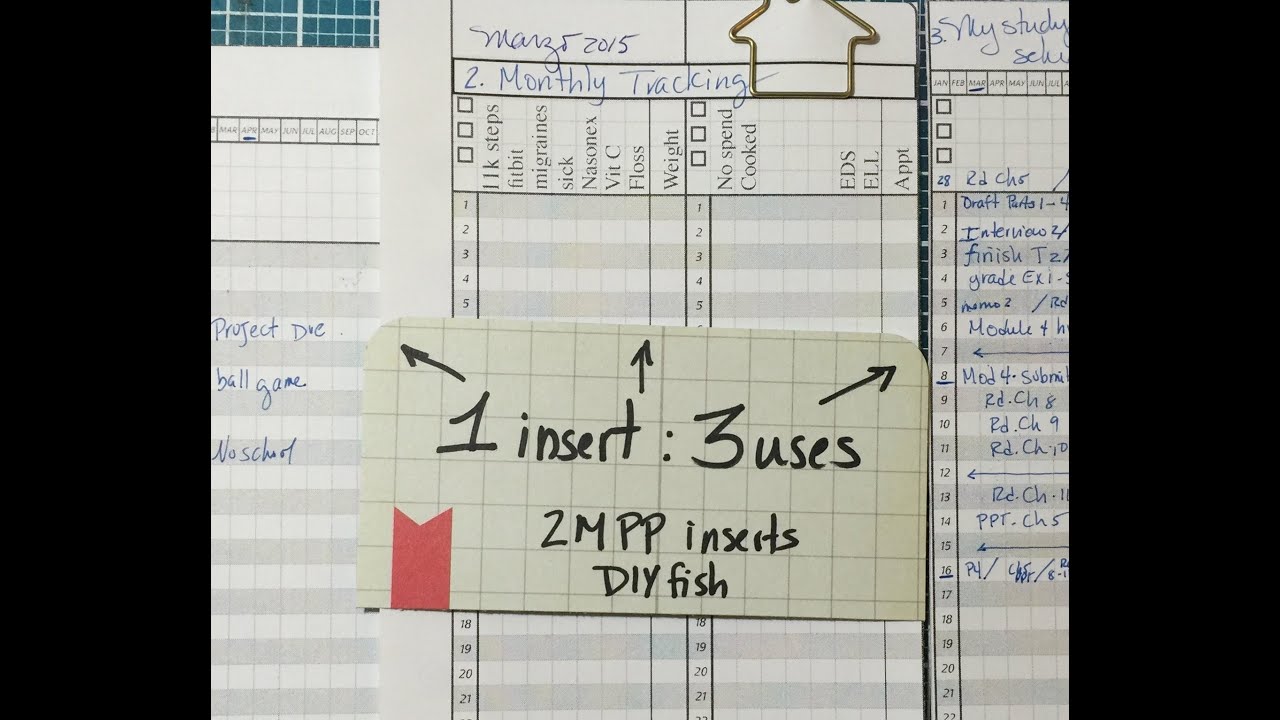 3 ways to use DIYFish 2MPP inserts. - YouTube