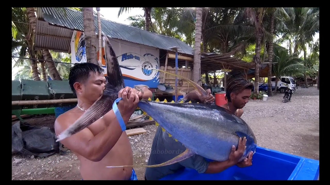 TUNA IN THE BOX || MAASIM SARANGANI PROVINCE PH 🇵🇭 - YouTube