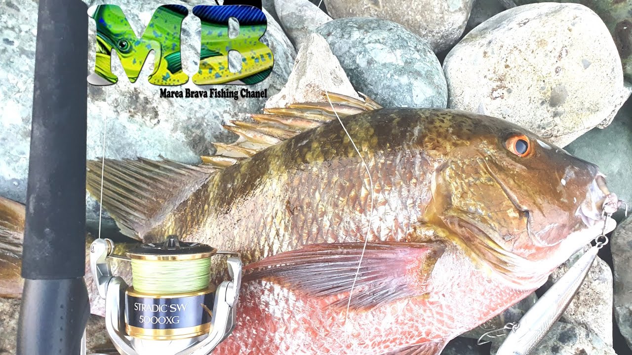 Pargo Coconaco en Barra Potosi/ Más Adrenalina más Accion!! - YouTube