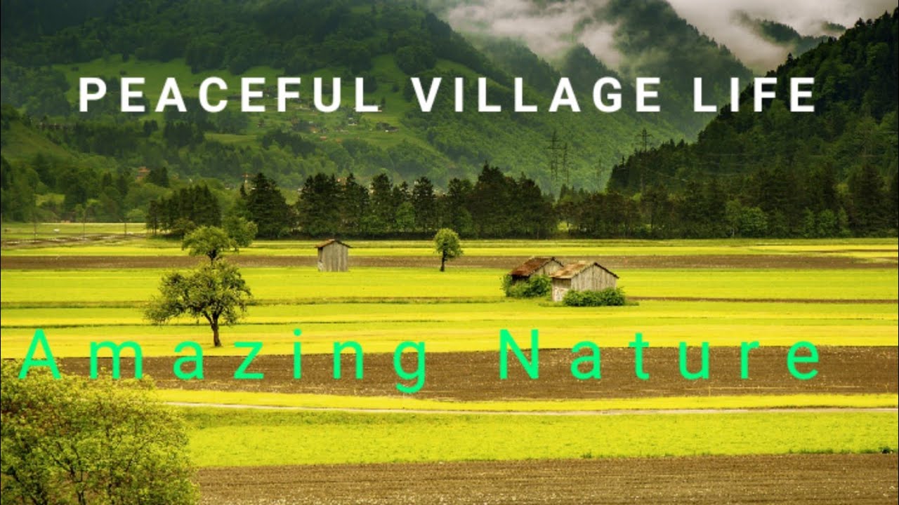 PEACEFUL VILLAGE LIFE RELAXING INVIORMENT - YouTube