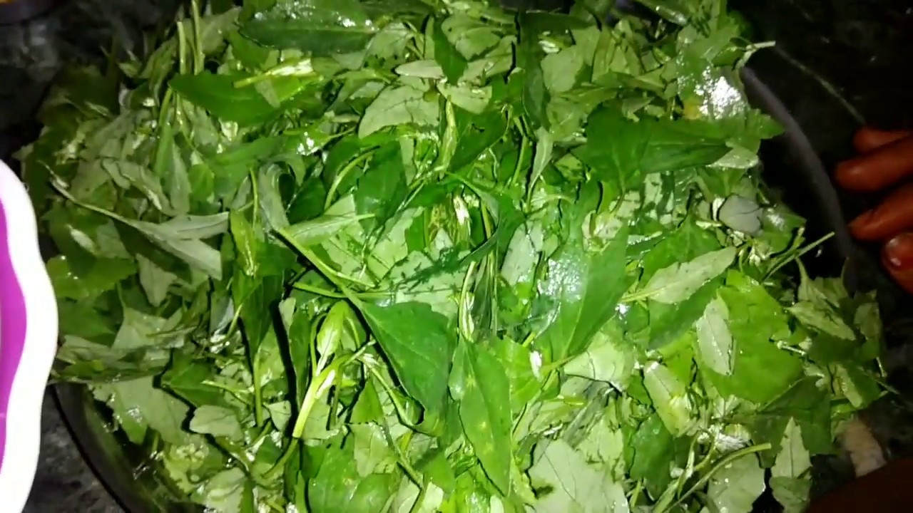 बथुआ रायता दादी जी की पुरानी विधि से अवश्य बनाएं//Bhathua Rayeta Recipe ...