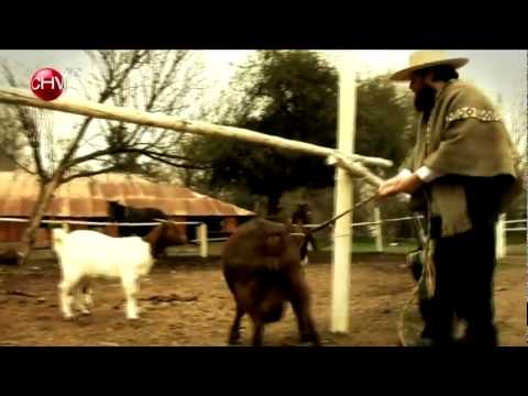 El Club de la Comedia - Pancho del Sur - YouTube