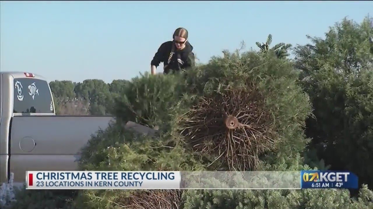 2024 Christmas Tree Recycling Program drop off locations announced ...