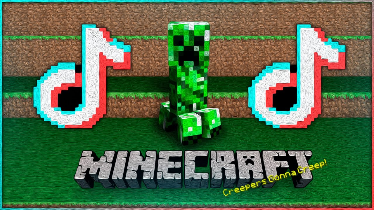 Top Minecraft Tik Tok Moments 13 - YouTube