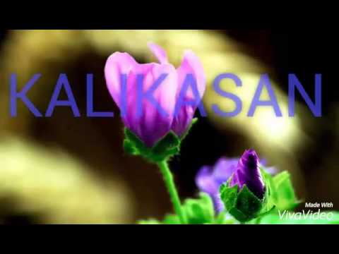 Tula "KALIKASAN" by 9-EARTH group 2 in filipino - YouTube