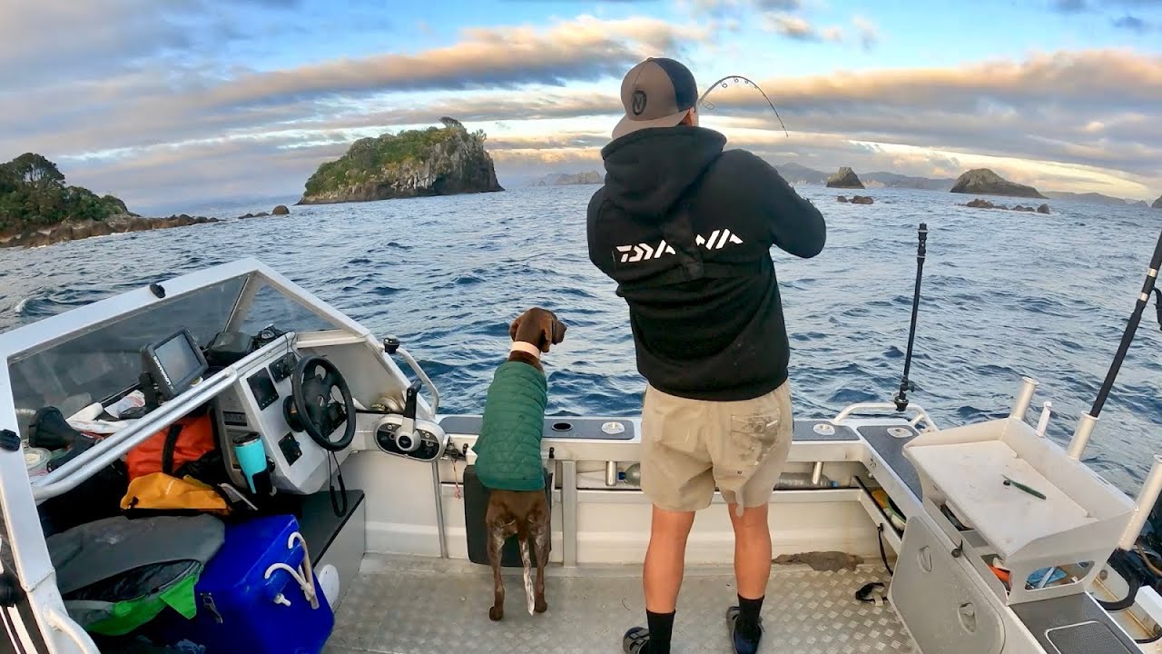 SOLO BOAT CAMP in my small boat - Catch and Cook - YouTube