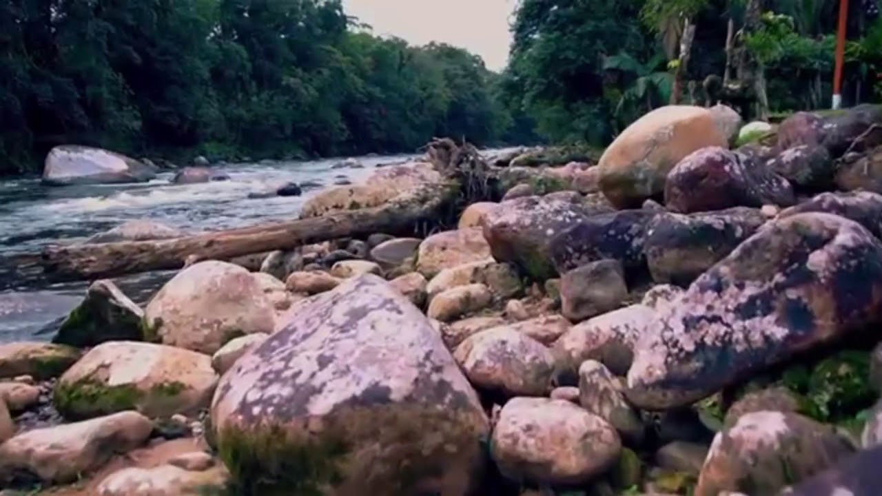 Imanência e transcendência - reconhecer e respeitar as características ...